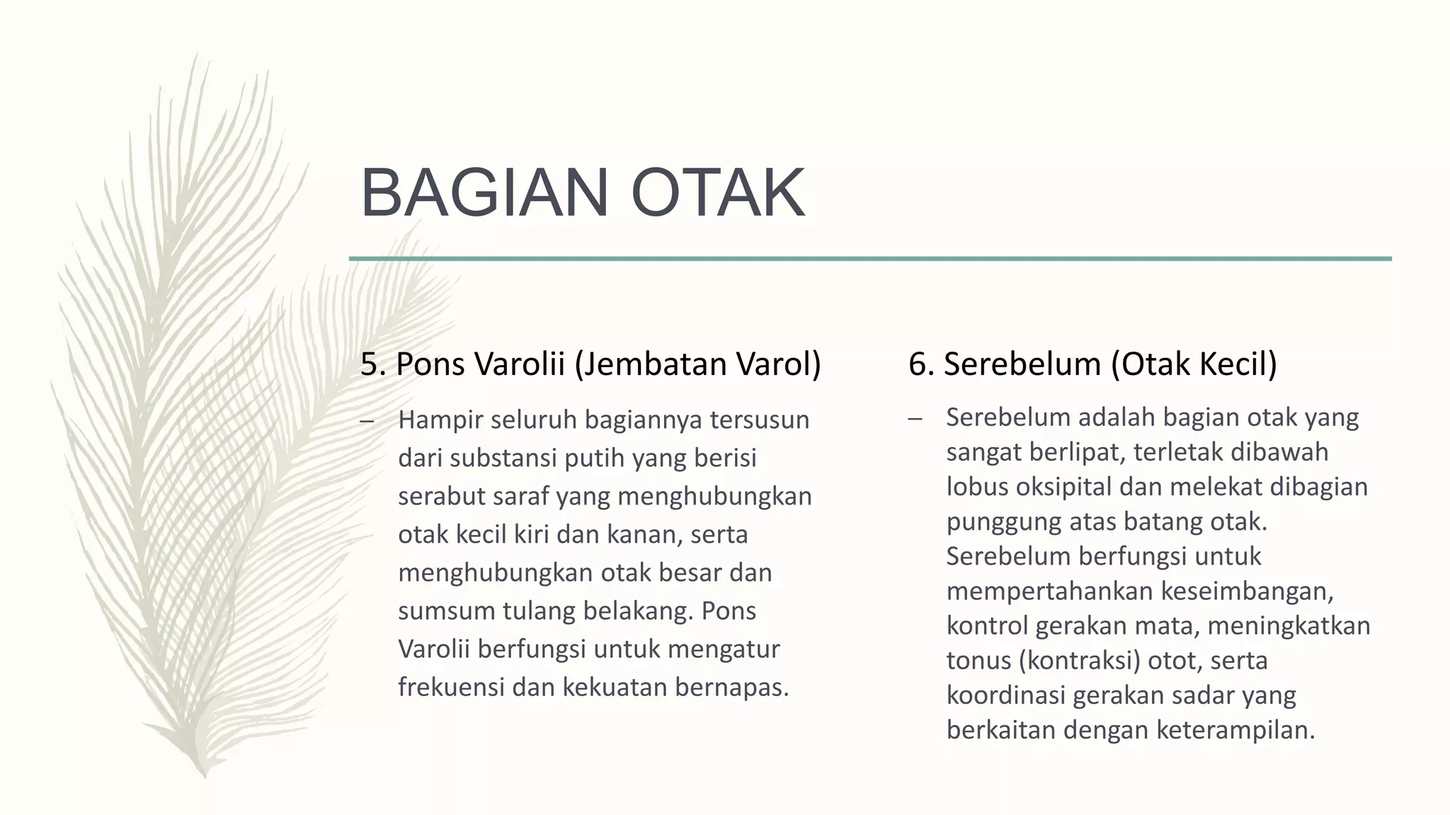 sistem saraf | PPTX