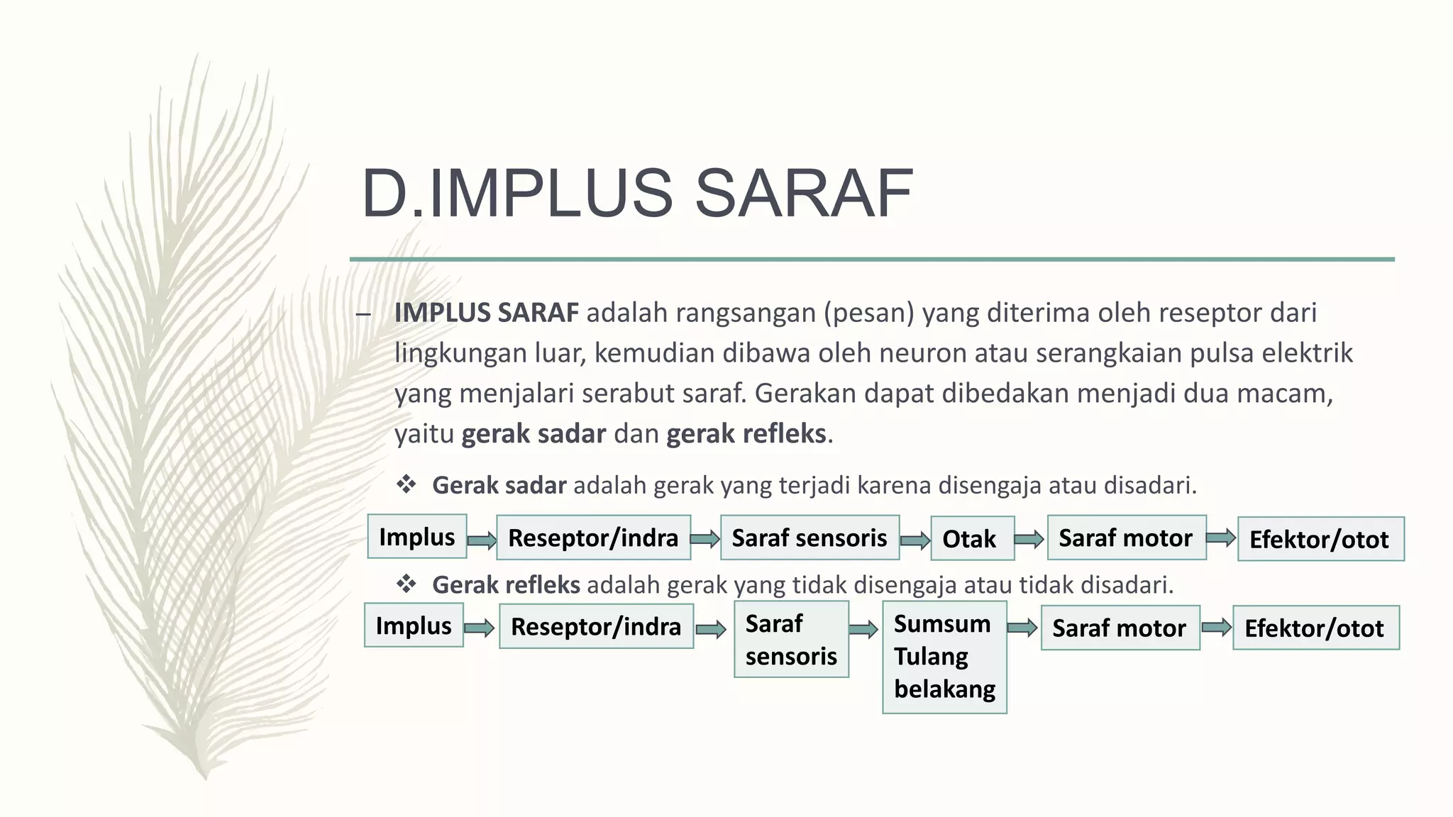 sistem saraf | PPTX