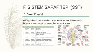 sistem saraf | PPTX