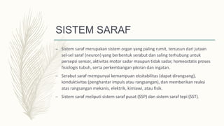 sistem saraf | PPTX