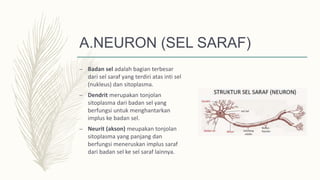 sistem saraf | PPTX