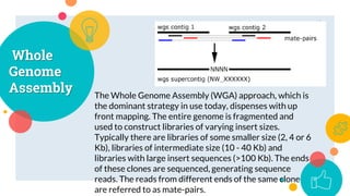 Bio Informatics - Genome Assembly | PPTX