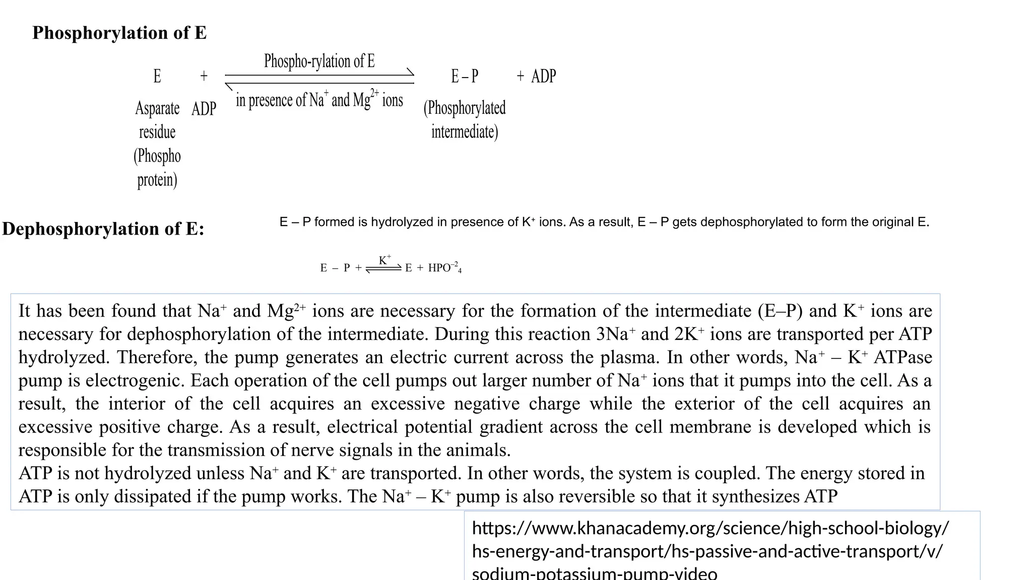 Bio-inorganic chemistry introduction and applications | PPTX