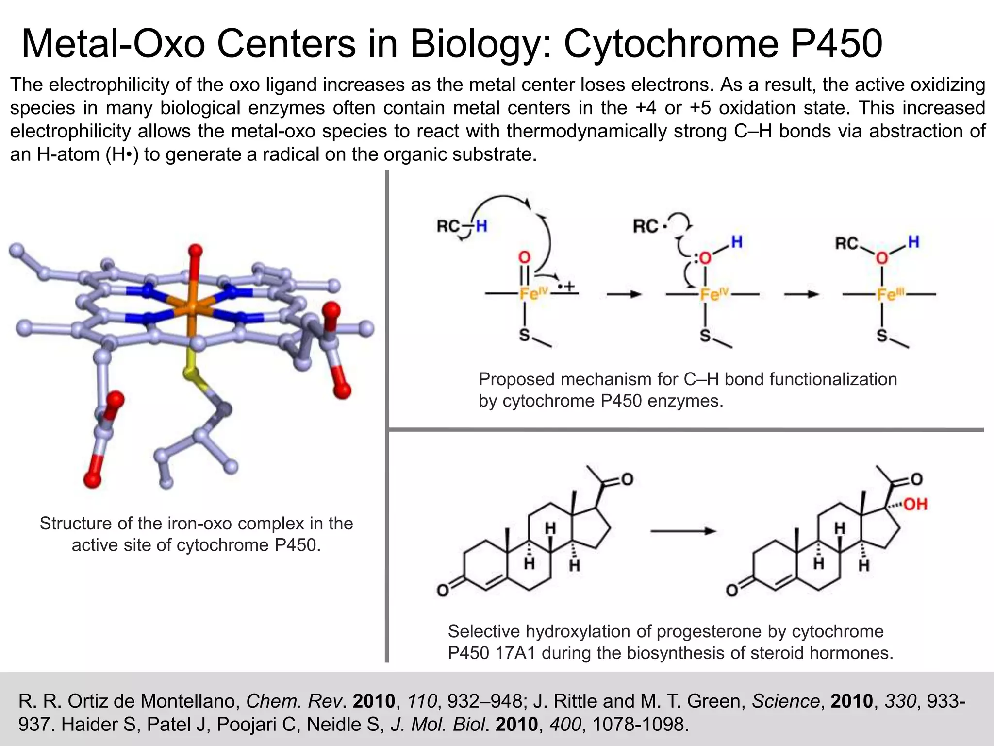Bio inspired metal-oxo catalysts for c–h bond functionalization | PPTX