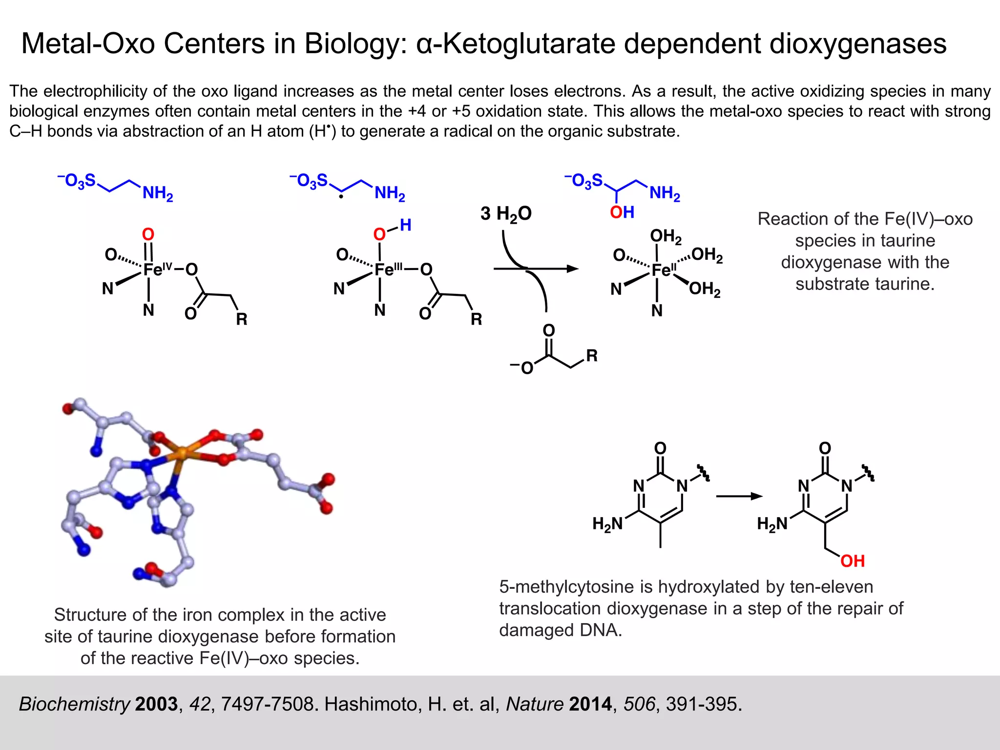 Bio inspired metal-oxo catalysts for c–h bond functionalization | PPTX