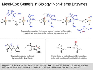 Bio inspired metal-oxo catalysts for c–h bond functionalization | PPTX