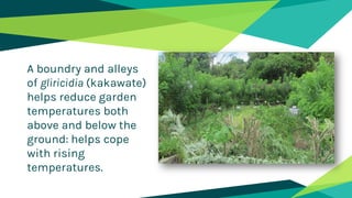 Bio intensive gardens by Dr.Julian Gonsalves_18June2018 | PDF