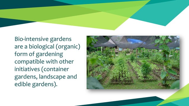 Bio intensive gardens by Dr.Julian Gonsalves_18June2018 | PDF