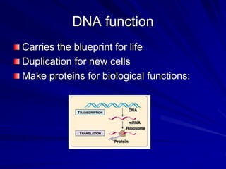 introduction to molecular biology for BS | PPT | Biological Sciences ...