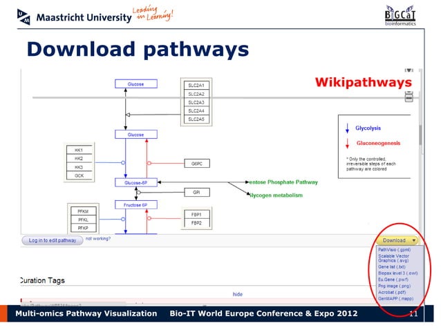 Multi-omics Pathway Visualization | PPT