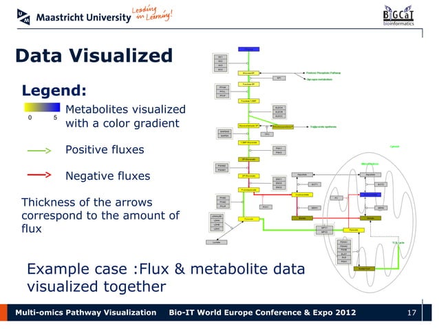 Multi-omics Pathway Visualization | PPT