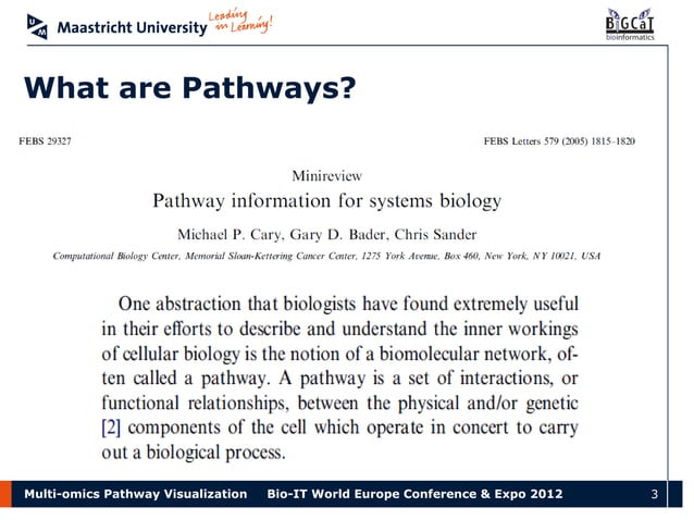 Multi-omics Pathway Visualization | PPT