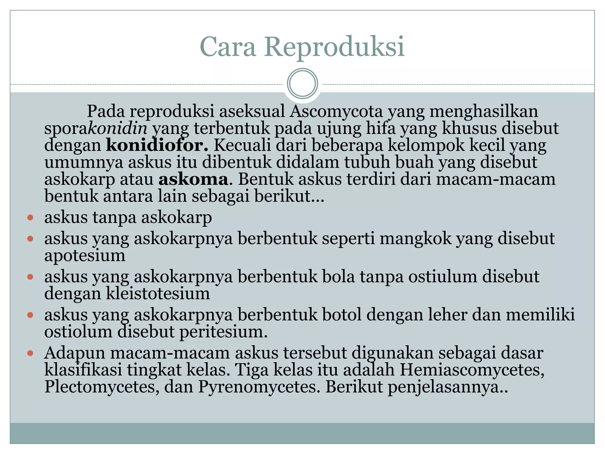 PPT Materi : Jamur (fungi) | PPTX