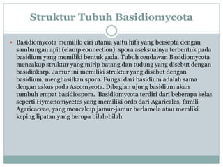 PPT Materi : Jamur (fungi) | PPTX
