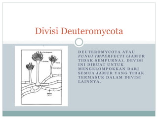 PPT Materi : Jamur (fungi) | PPTX