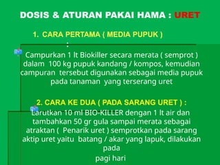 BIO-KILLER untuk kebutuhan tanaman tembakau di pulau jawa2023.ppt.pptx