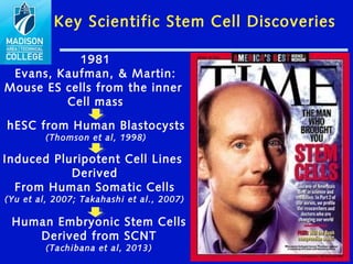Stem Cell Technologies: New program development, sustainability, and ...