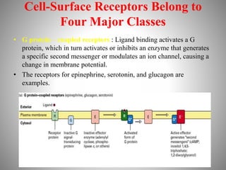 Molecular interaction, Regulation and Signalling receptors and vesicles ...