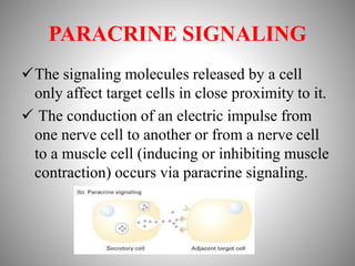 Molecular interaction, Regulation and Signalling receptors and vesicles ...