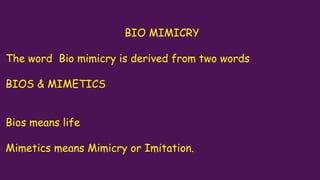 BIO-MIMICRY FOR TRAINERS AND TEACHERS | PPTX