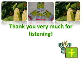 Bio-N for Corn Production Technology.pptx