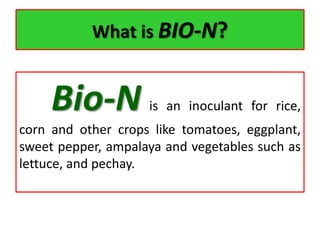 Bio-N for Corn Production Technology.pptx