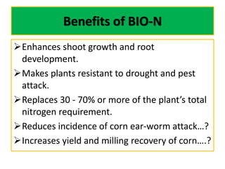 Bio-N for Corn Production Technology.pptx