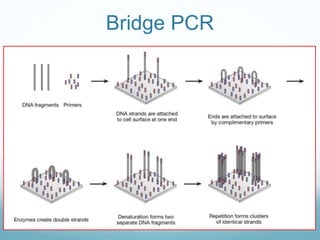 next generation sequencing | PPT