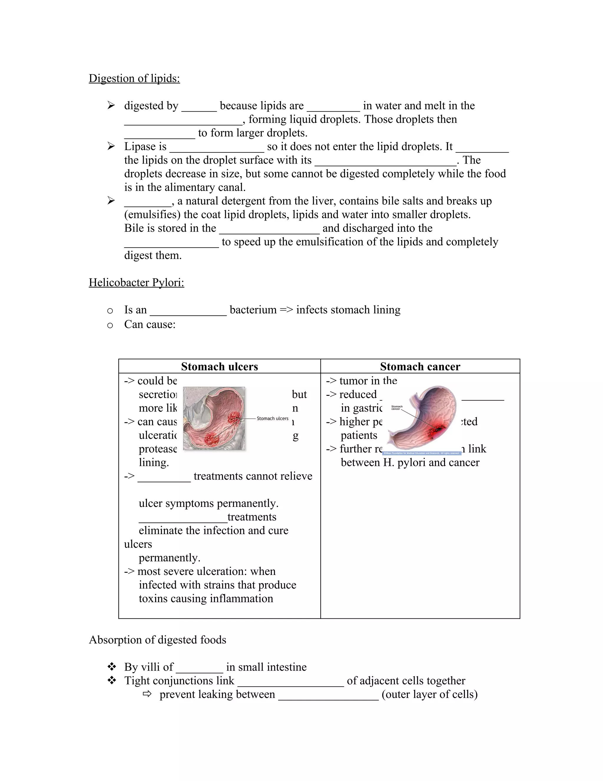 Digestion and absorption (further human physiology) | DOC
