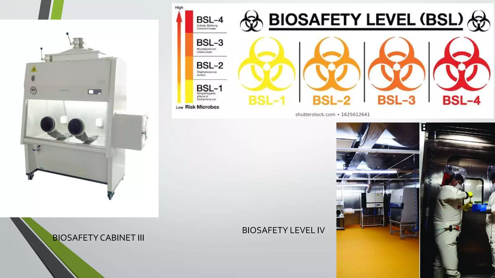 Bio occupational hazards | PDF