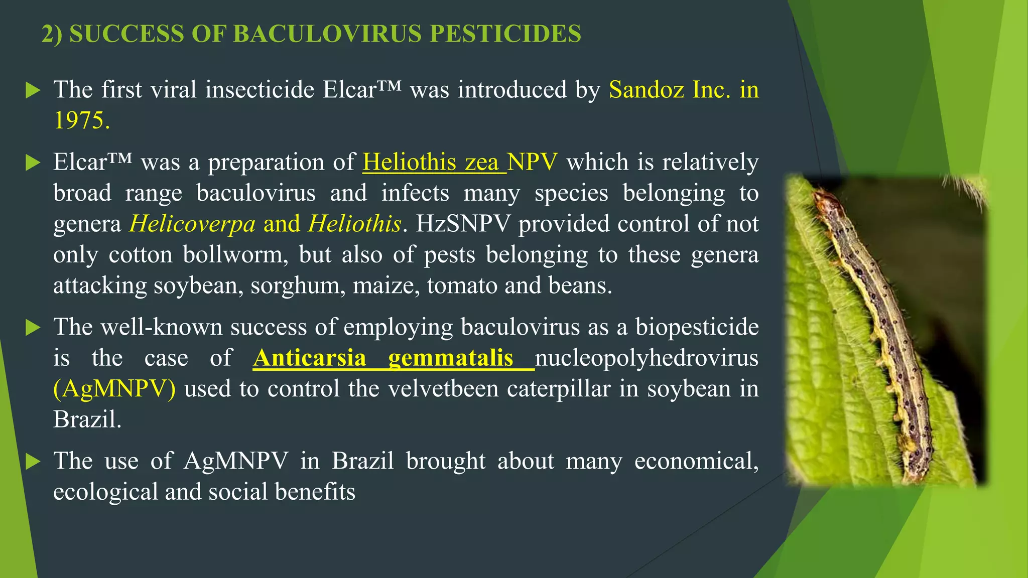Bio pesticides | PPTX