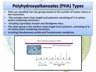 Bio plastic from bacteria. | PPTX