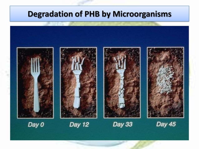 Bio plastic from bacteria. | PPTX | Indoor Environmental Quality | Home ...
