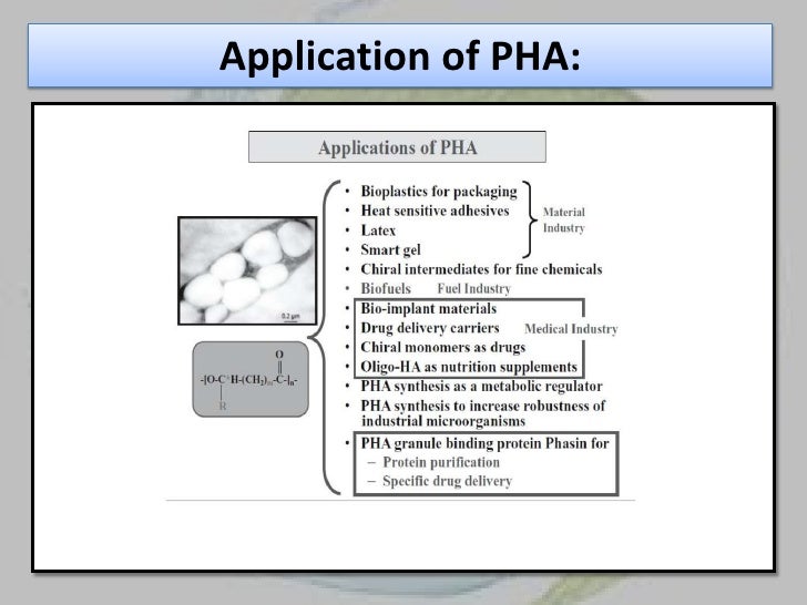 Bio plastic from bacteria.