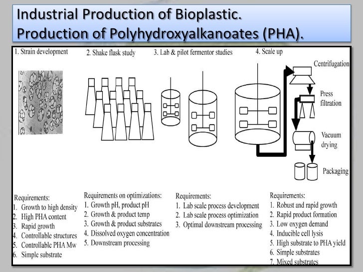 Bio plastic from bacteria.