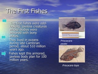 Fishes | PPT