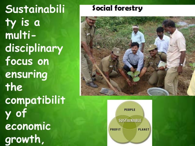 Forest and Wildlife | PPT