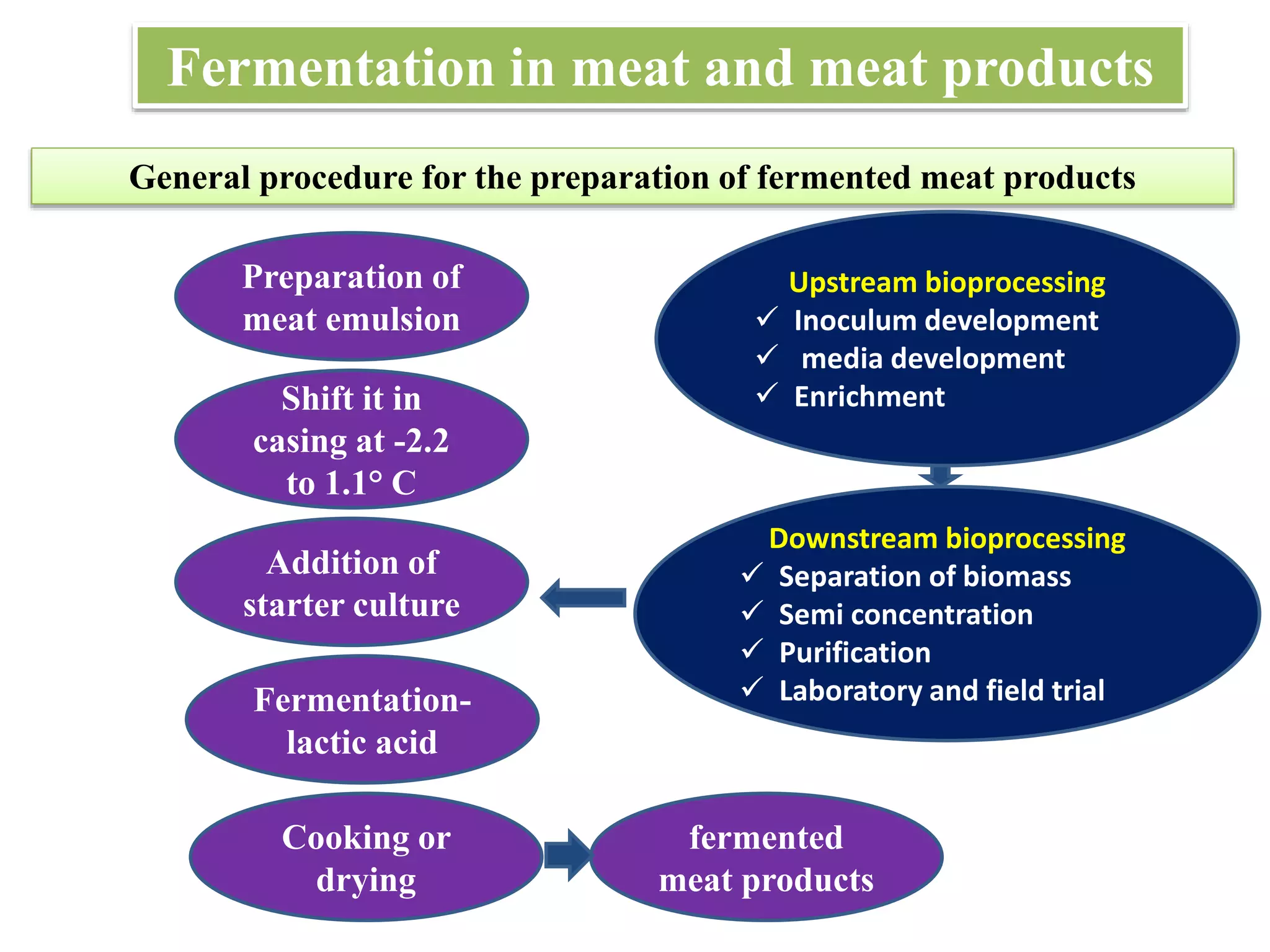 Bio preservation of Meat and Meat products | PPTX