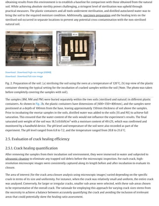 Bio-protection of cementitious materials below ground_ The significance ...