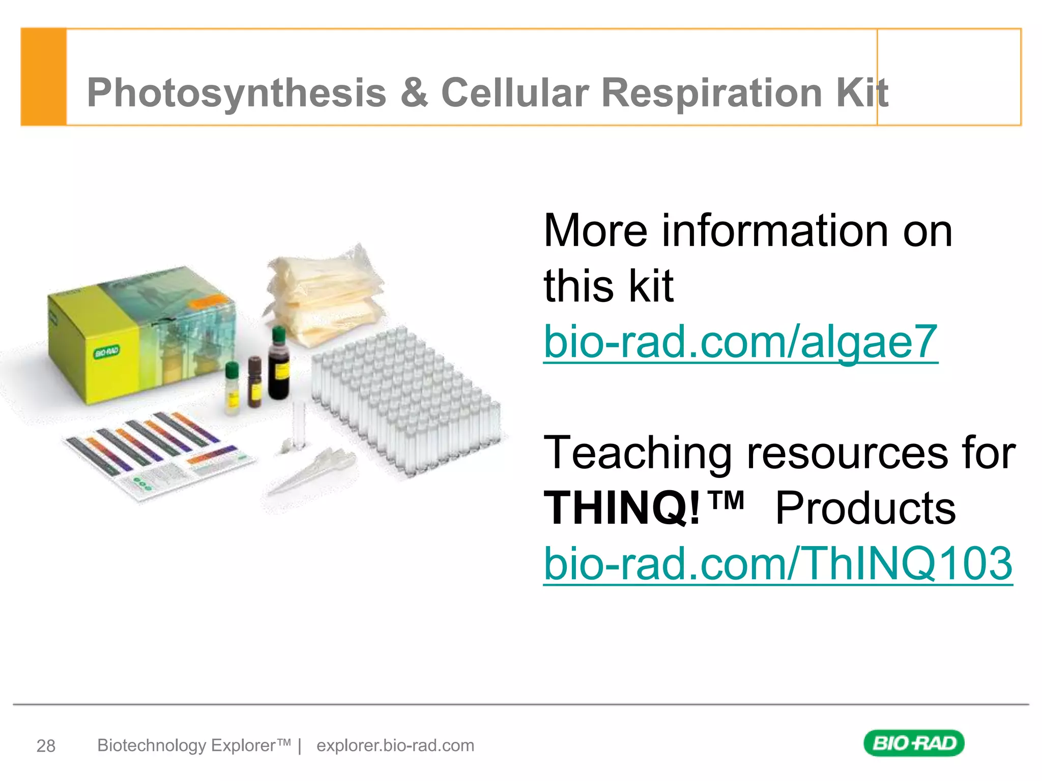 photosynthesis and cellular respiration | PPT