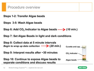 photosynthesis and cellular respiration | PPT