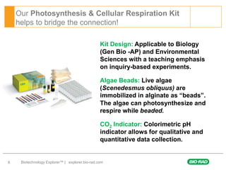 photosynthesis and cellular respiration | PPT