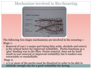 Bio scouring | PPTX
