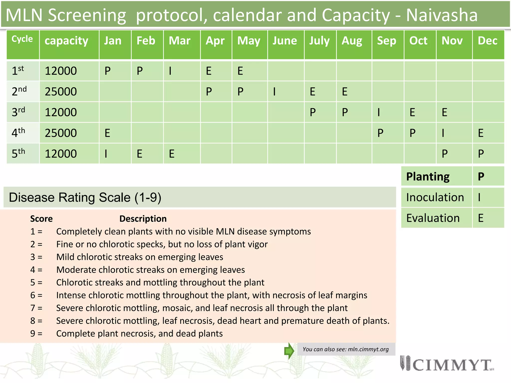 Bio-securing Sub-Saharan Africa from Transboundary Maize Lethal Dr ...