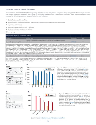 Bio techne coronavirus-research-brochure | PDF