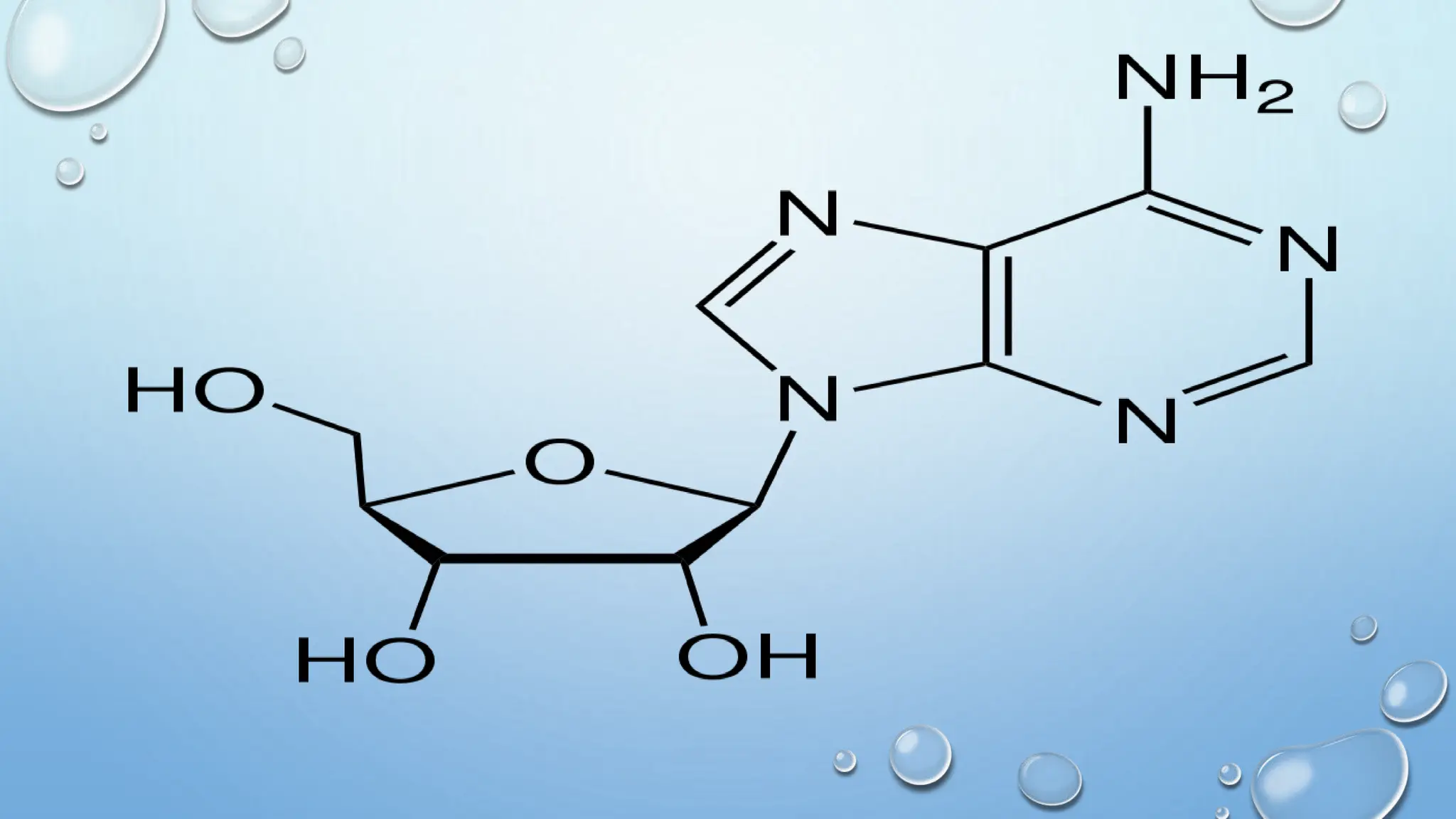 General Biology Q2- Module 1 ATP and ADP | PPTX