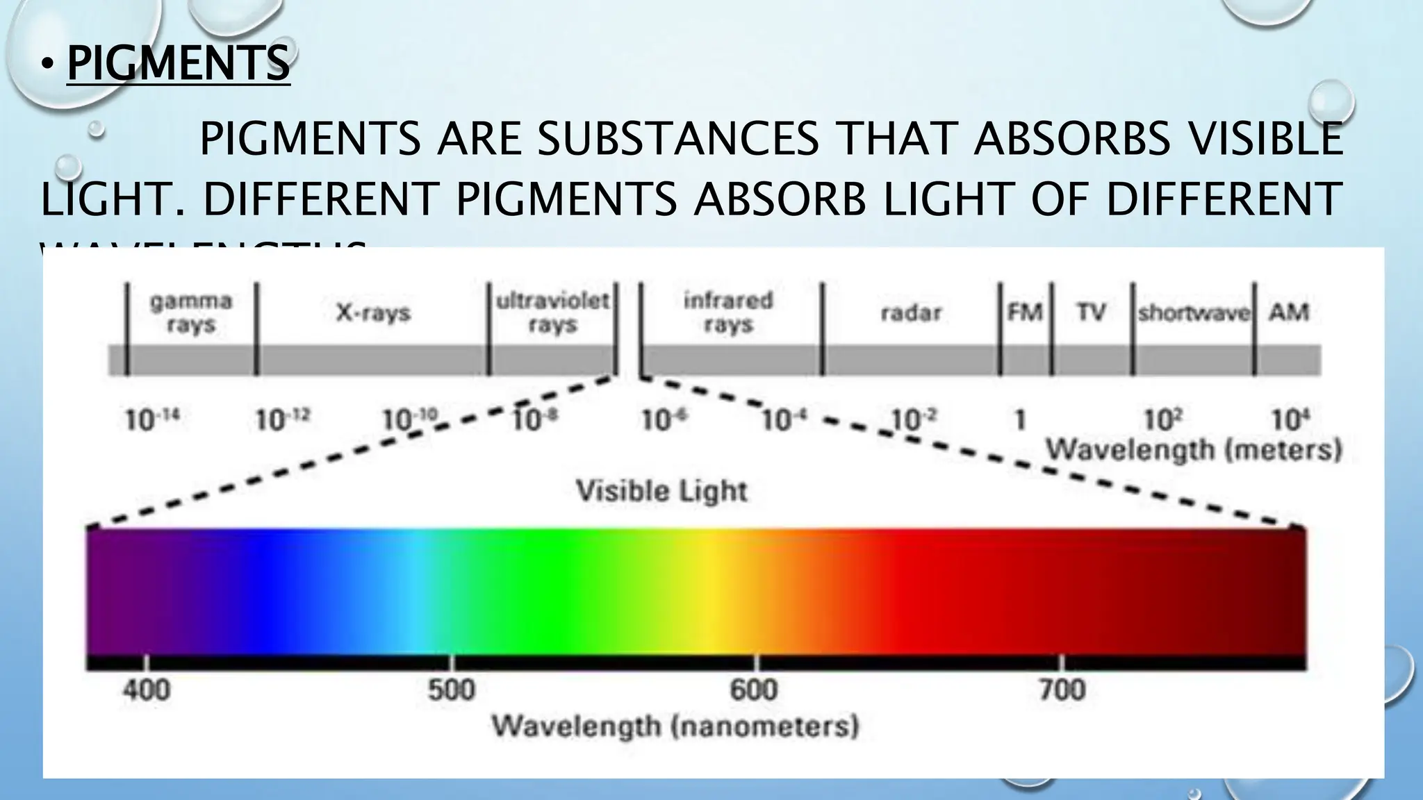 General Biology Q2- Module 1 ATP and ADP | PPTX