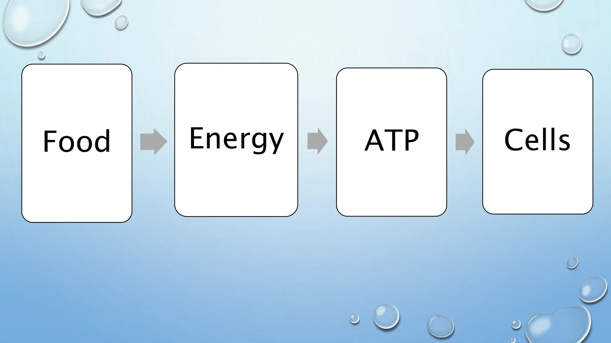 General Biology Q2- Module 1 ATP and ADP | PPTX