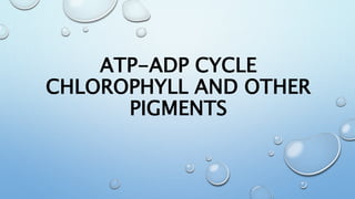 General Biology Q2- Module 1 ATP and ADP | PPTX