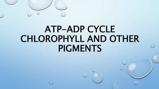 General Biology Q2- Module 1 ATP and ADP | PPTX | Chemistry | Science